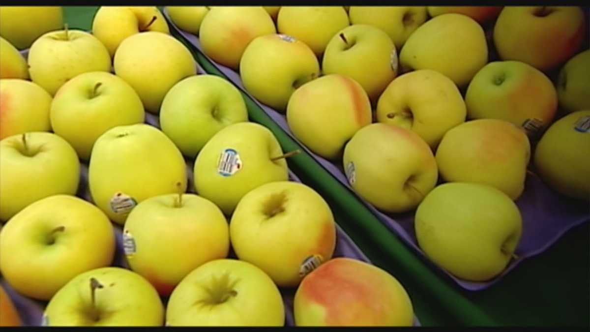 A local food bank gets a huge donation of apples