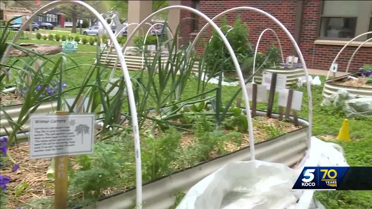 STEM Spotlight: OKC Beautiful brings garden education to schools