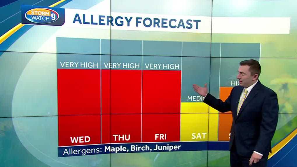 High pollen levels expected to continue across New Hampshire