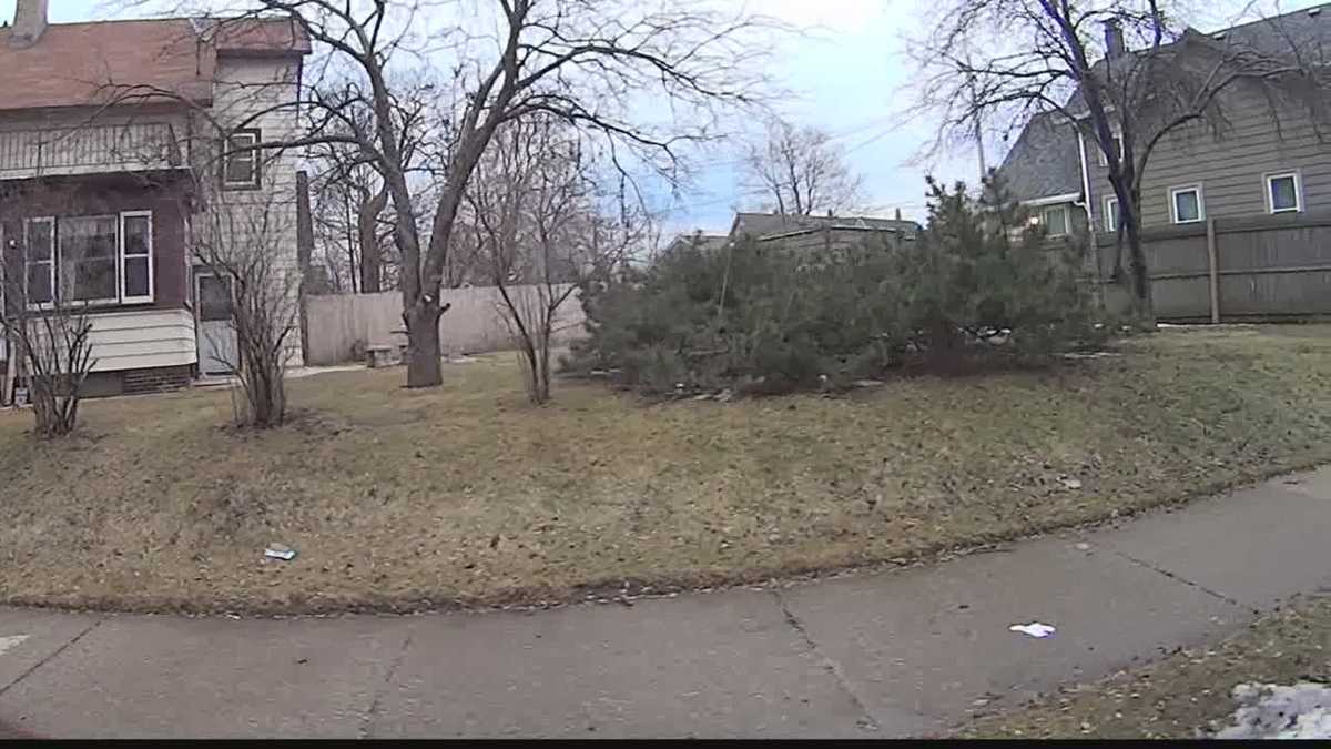 Police Investigating Attempted Abduction
