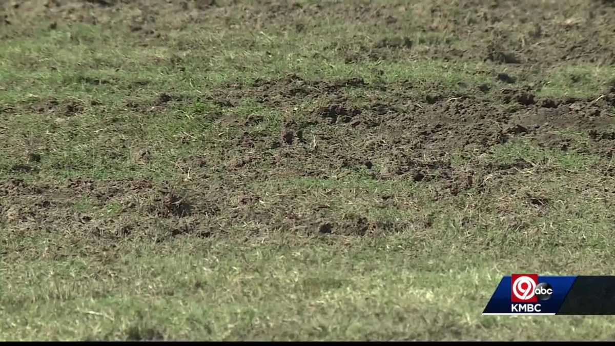 Vandals destroy youth football field