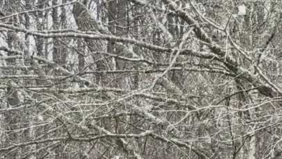 Alabama winter storm: Videos of snow flurries