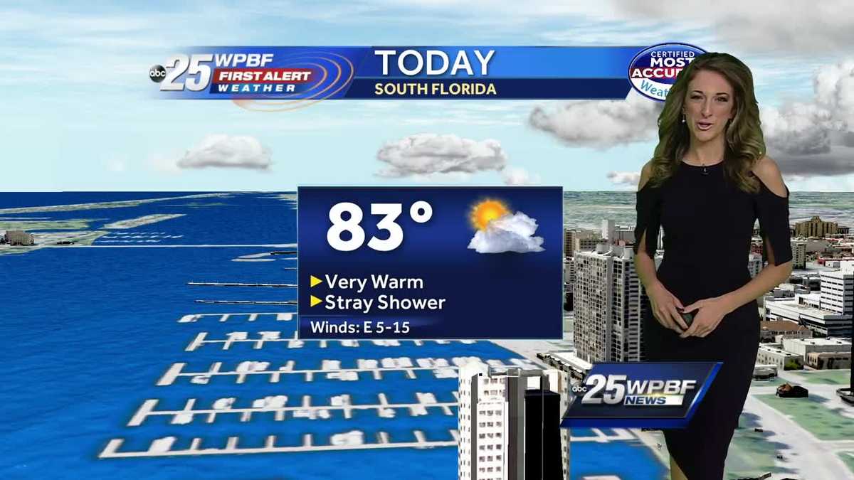 Britley's Updated Forecast