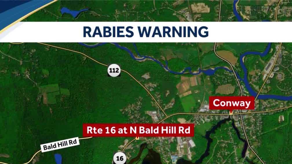 Health officials seek man who might have been exposed to rabies