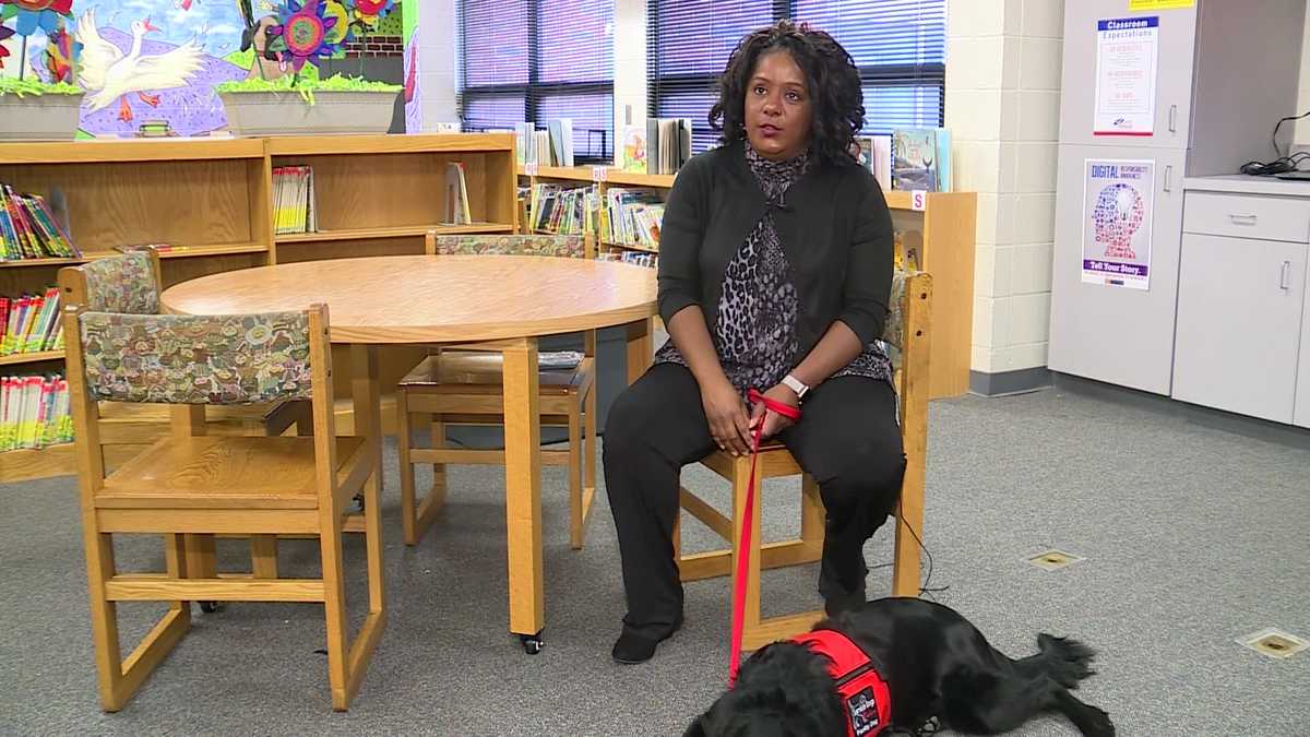 Homewood elementary schools add facility dogs to staff