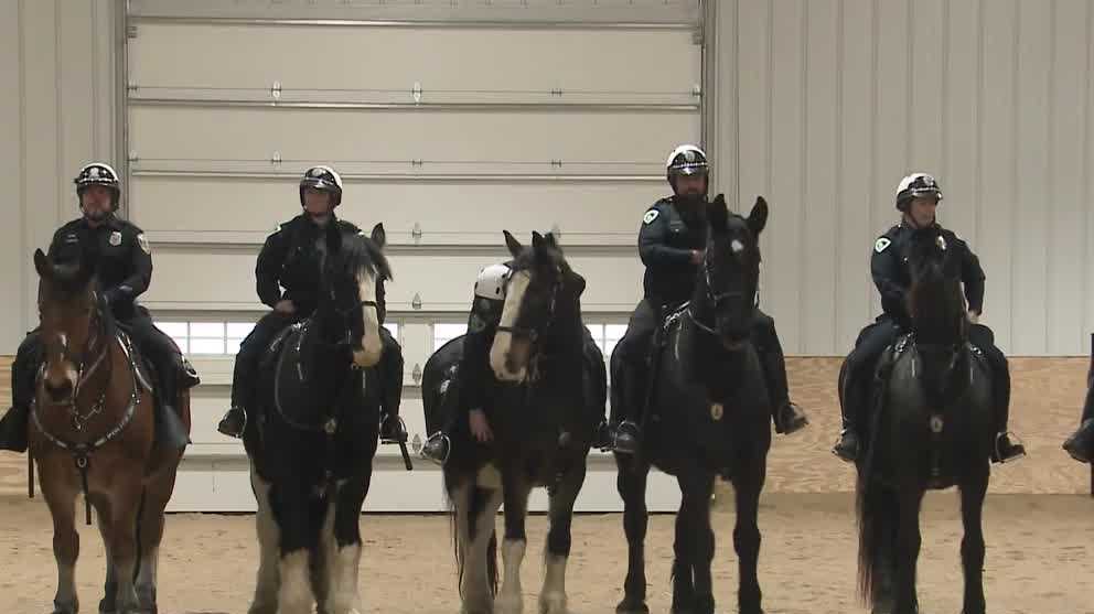 Local police officers and horses partake in national training ahead of RNC
