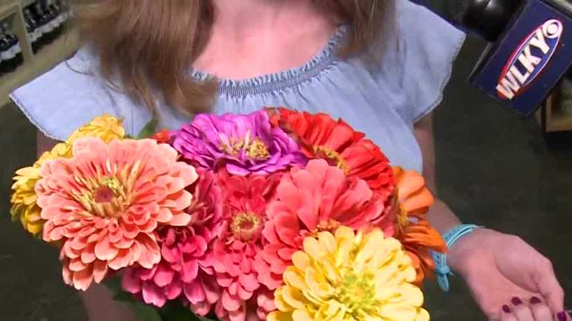 U-Pick season is in full swing at Huber's Orchard and Winery