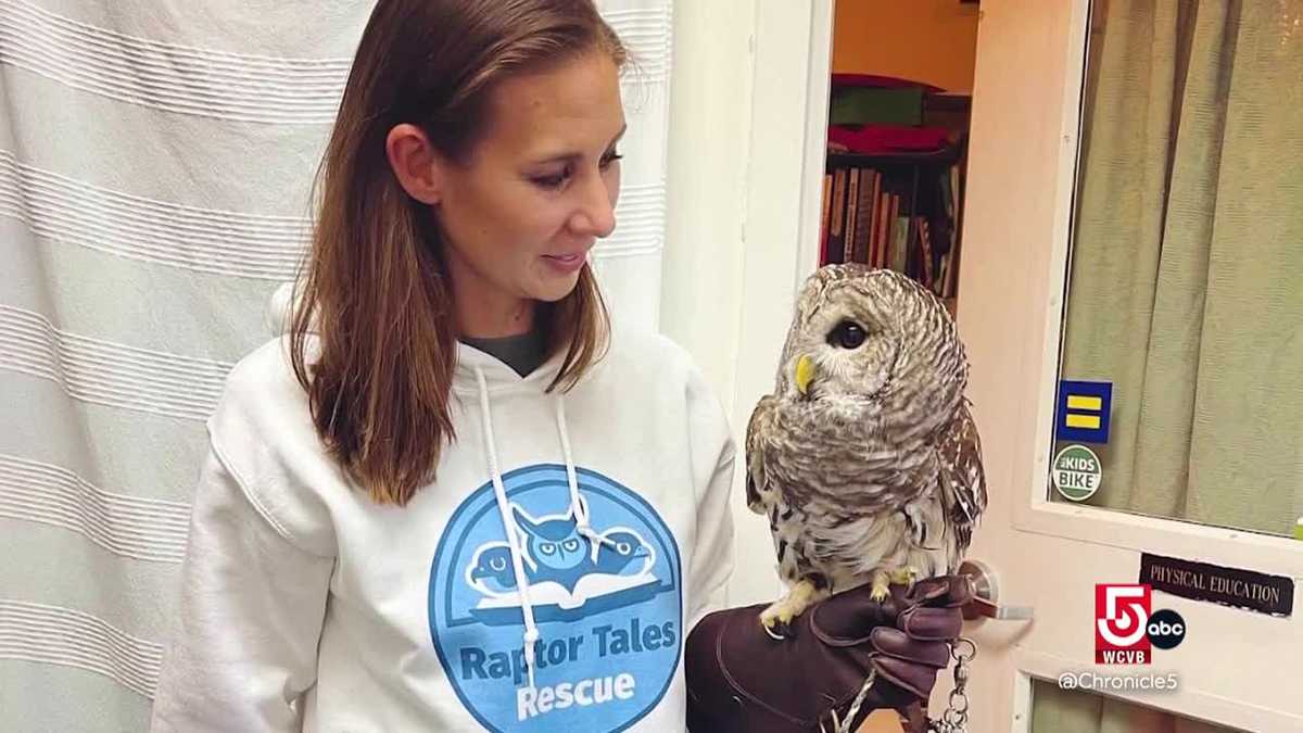 Bird lover creates safe haven for injured raptors