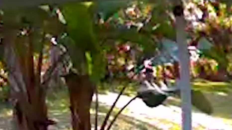 Suspect On The Run After Multi County Chase Authorities Say