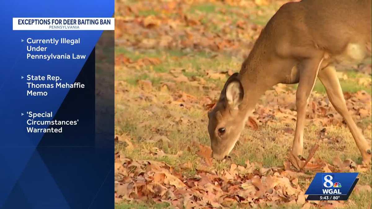 Pennsylvania considers easing deer baiting ban