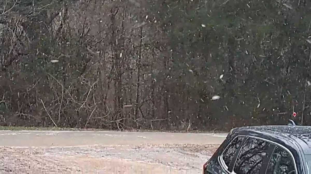 Snow in Alabama: Videos and photos