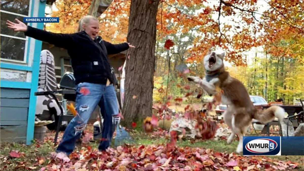 u local hot shot: Excited husky dog
