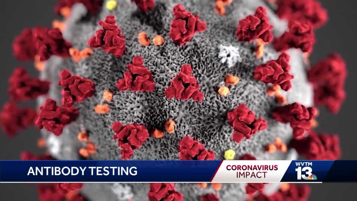What researchers are learning from COVID-19 antibody testing
