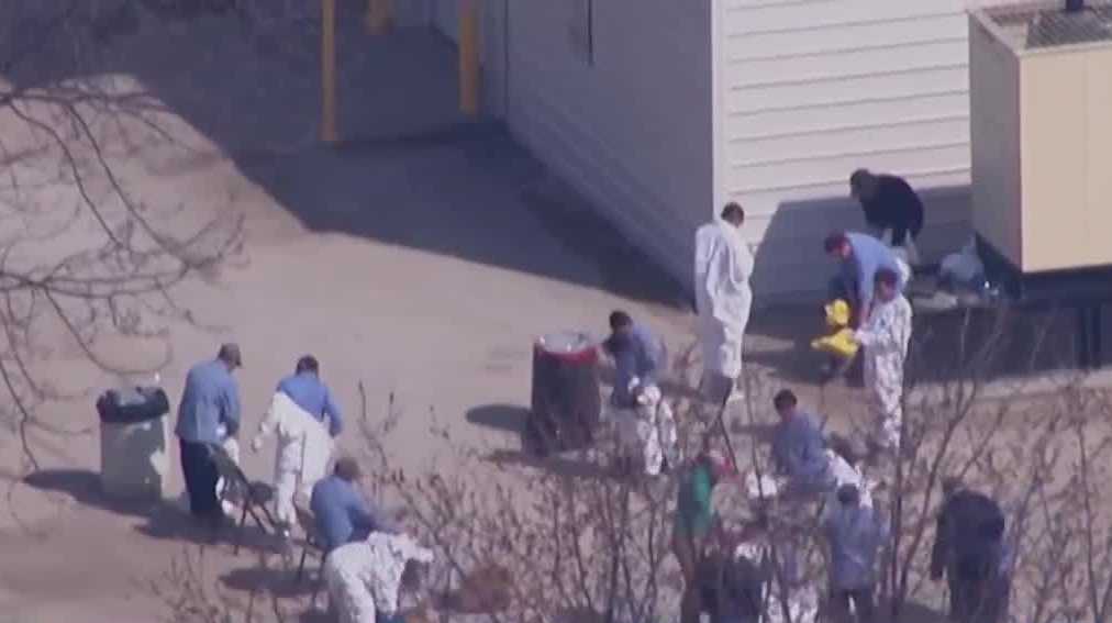 Wisconsin: Bird flu case found in Jefferson County chicken flock