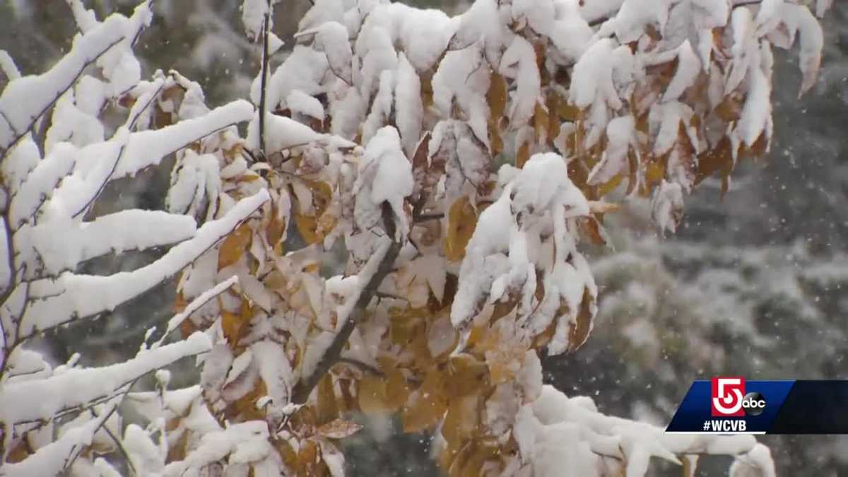 October winter storm brings power outages to Massachusetts