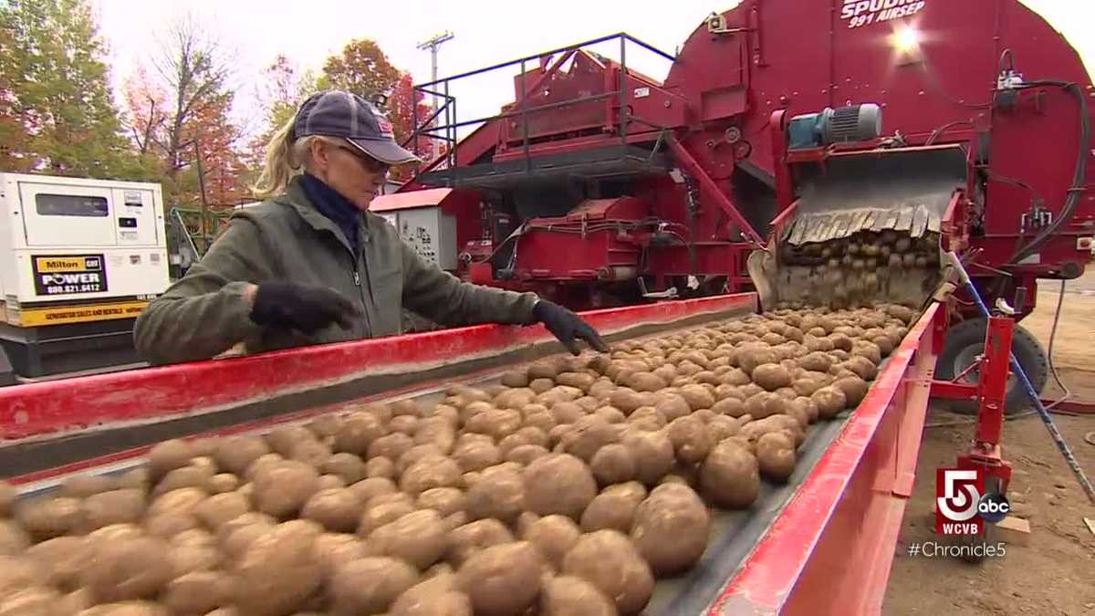 In Aroostook County, teens lend a helping hand to local potato farms ...