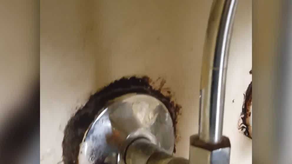 Underwood Tower residents feel silenced about unsanitary living conditions