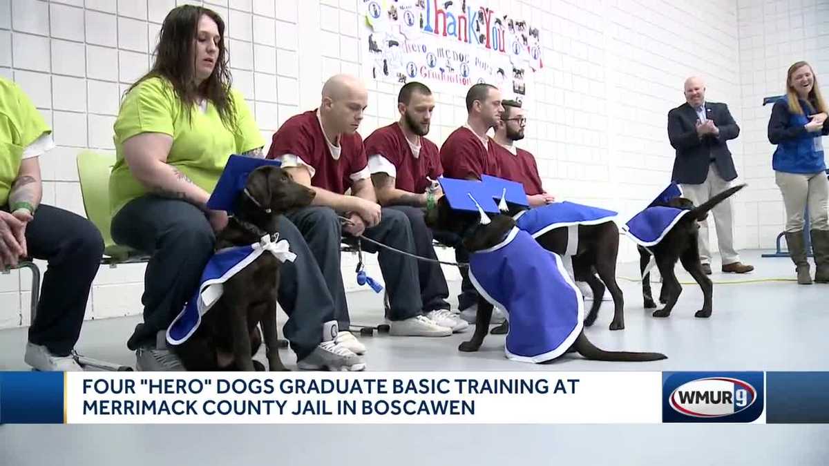 Dogs graduate basic training at Merrimack County Jail