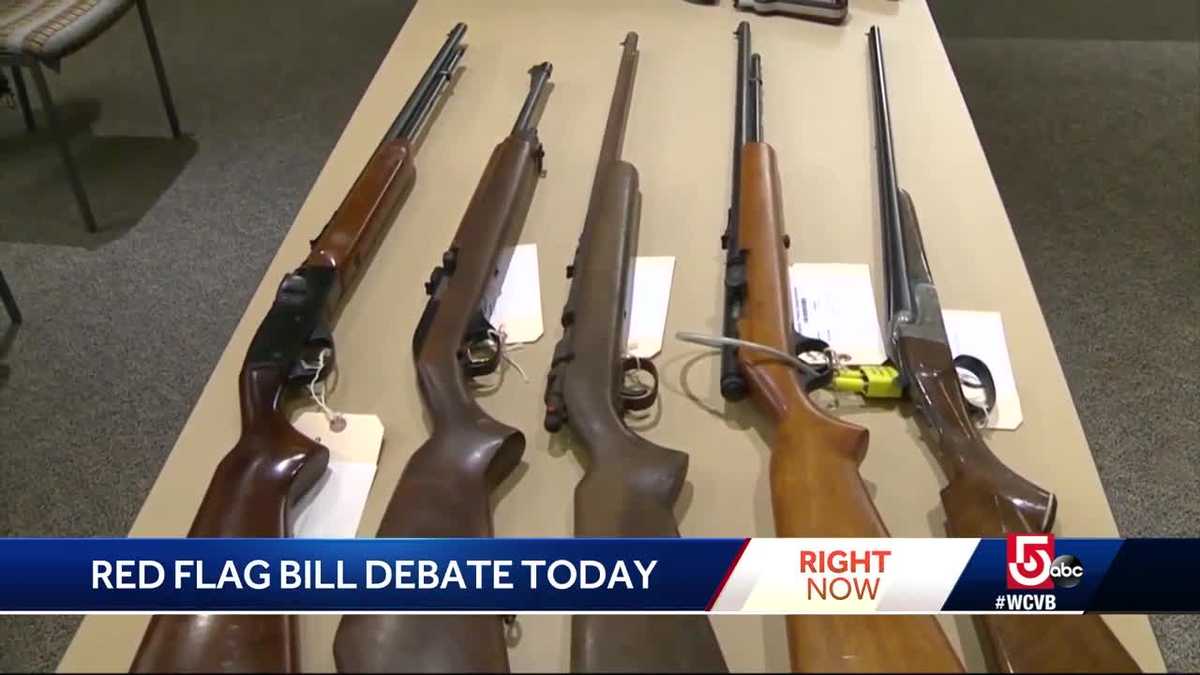 'Extreme risk' gun bill to be debated