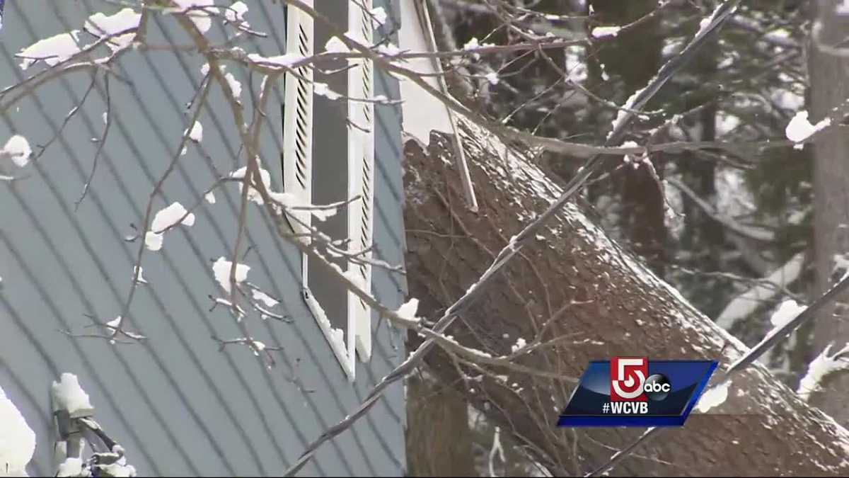 Winter storm causes widespread damage