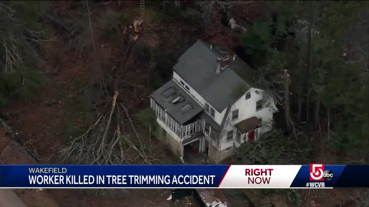 Tree worker killed leaves behind wife, two children
