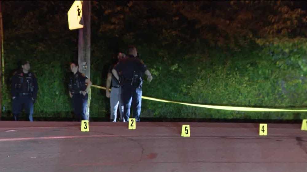 Man killed in Sheraden shooting