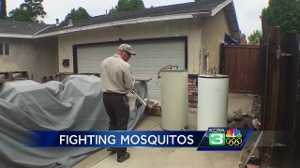 Stanislaus County begins preventions for West Nile Virus