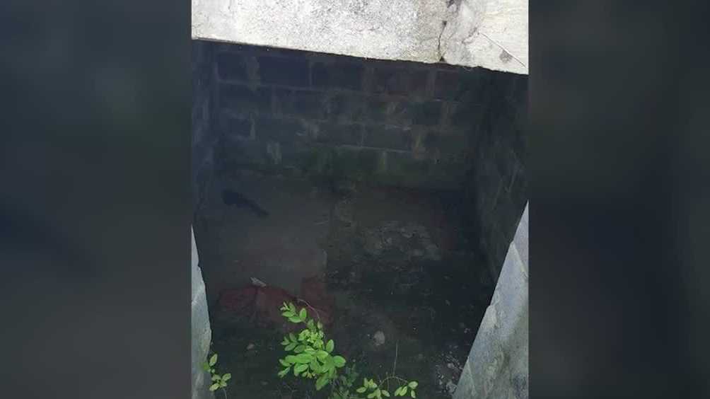 Alabama woman survives EF-5 tornado