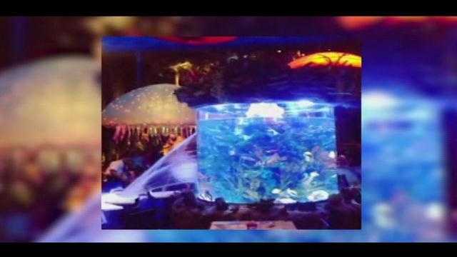 Raw Video: Aquarium at T-Rex Cafe bursts during dinner