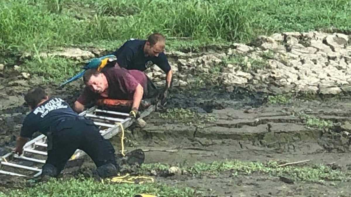 Man rescued from mud with parrot on shoulders