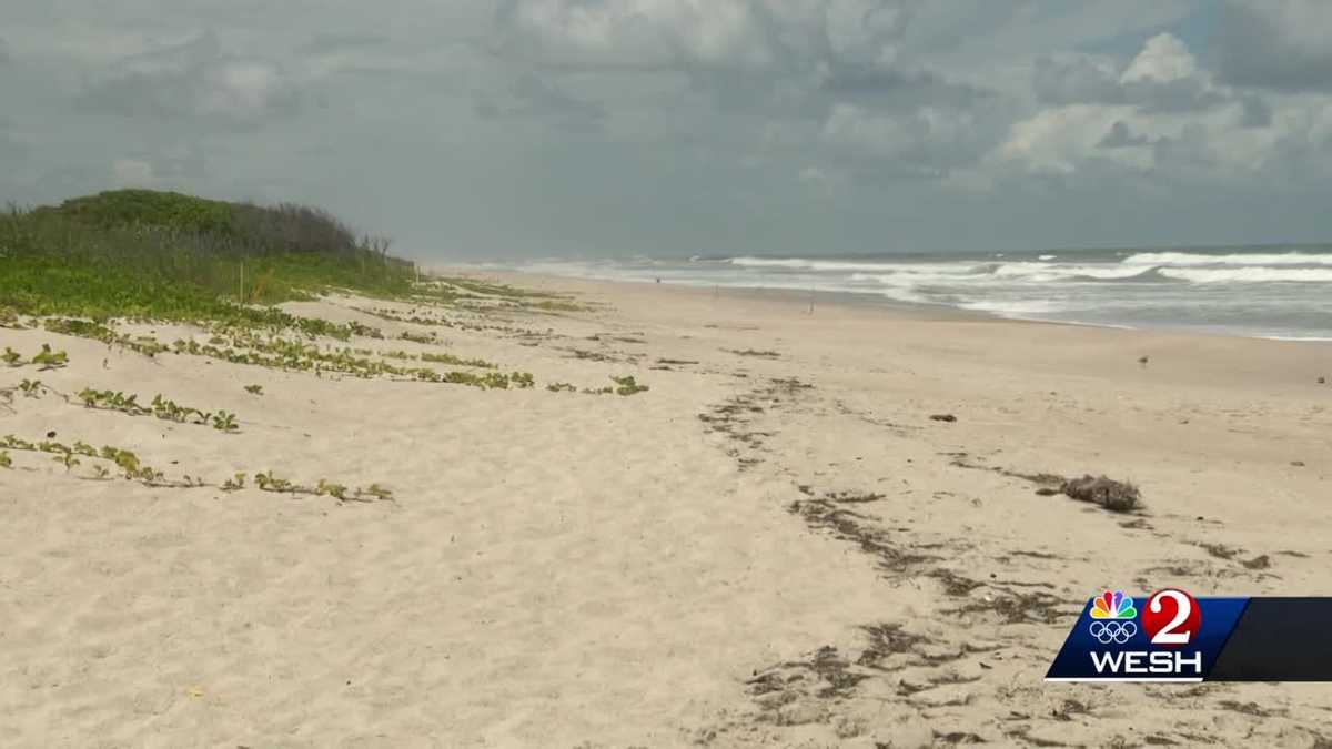 FAA proposal could limit beach access for Starship launches