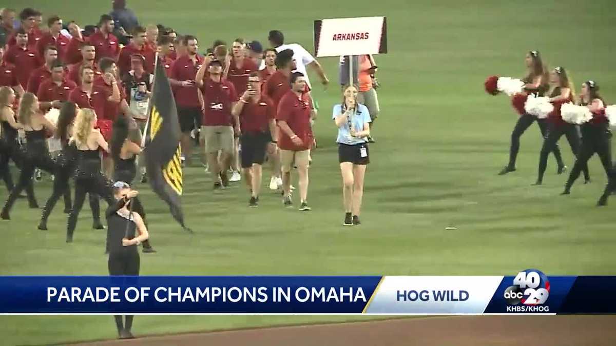 Hogs at the College World Series