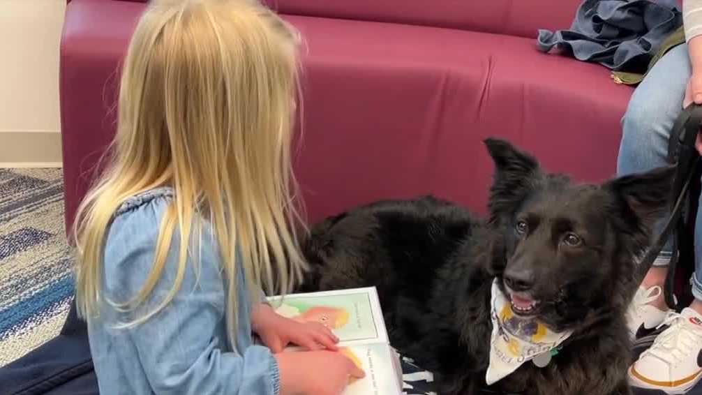 Indiana program uses service dogs to help kids improve their reading skills