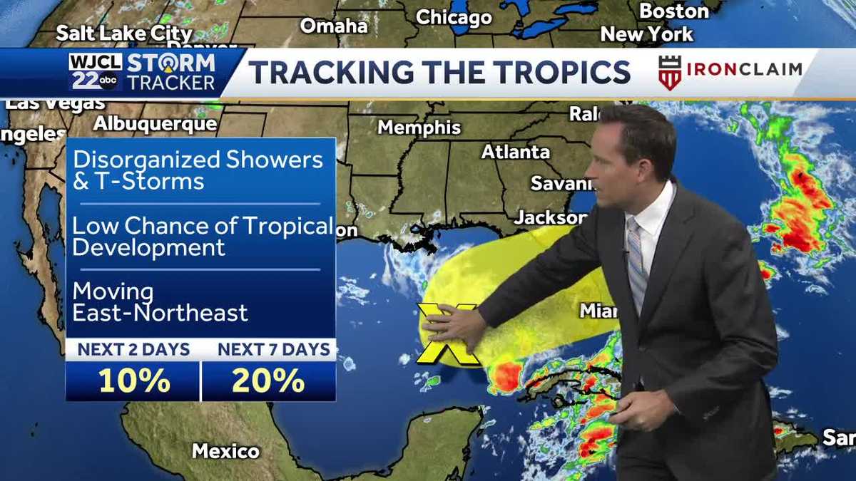 Savannah: Tracking the tropics