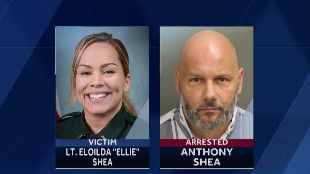 Court docs show Anthony Shea used texts to cover up murder of wife