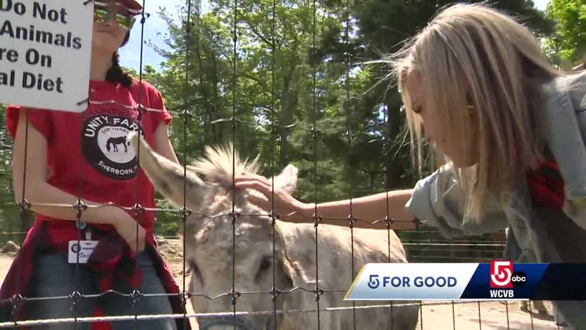 Mass. farm helps more than just animals in need