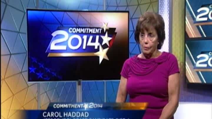 In their own words: Carol Haddad on her professional background