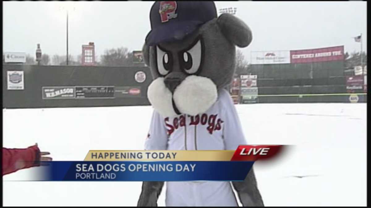 Sea Dogs looking to open season despite snow