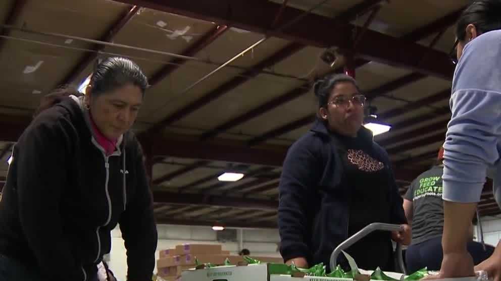 New food distribution hub offers access to fresh produce
