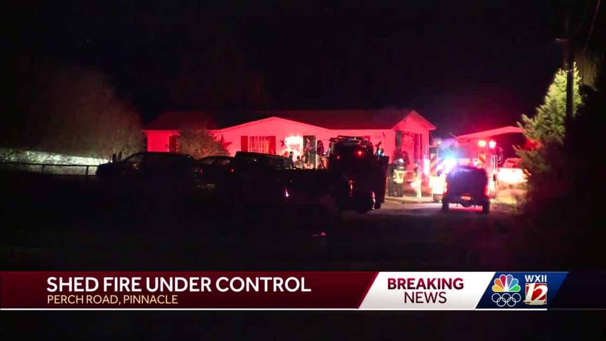 Family pet killed in early morning fire in Stokes County