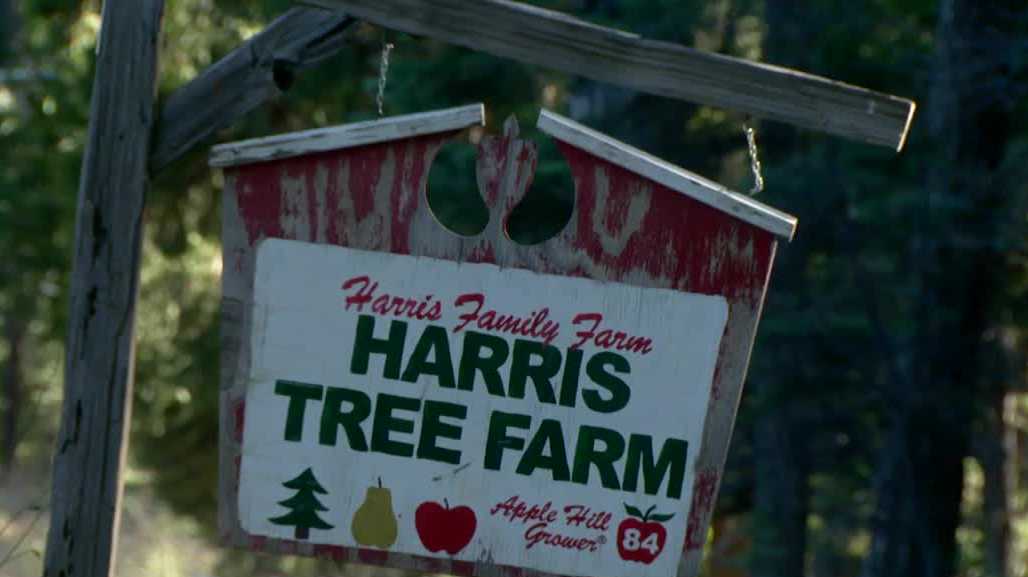 Apple Hill's Harris Family Farm offers special Christmas tree tradition