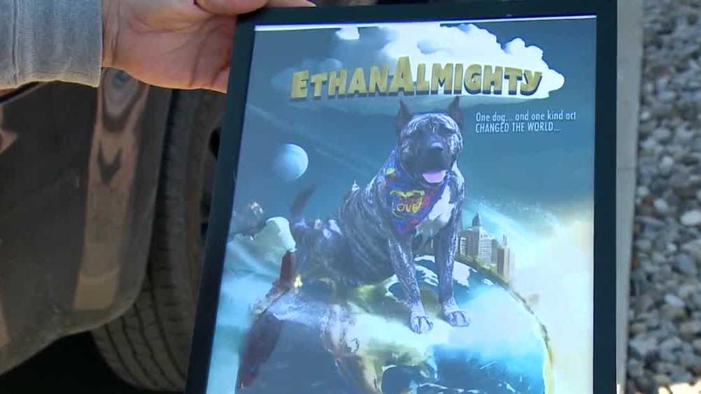 The story of Ethan the dog will soon become a movie