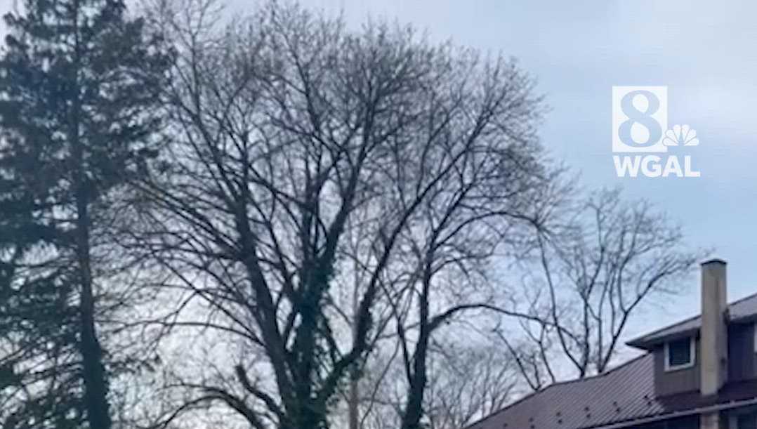 Juvenile in custody after man is shot to death in Duncannon, Perry County