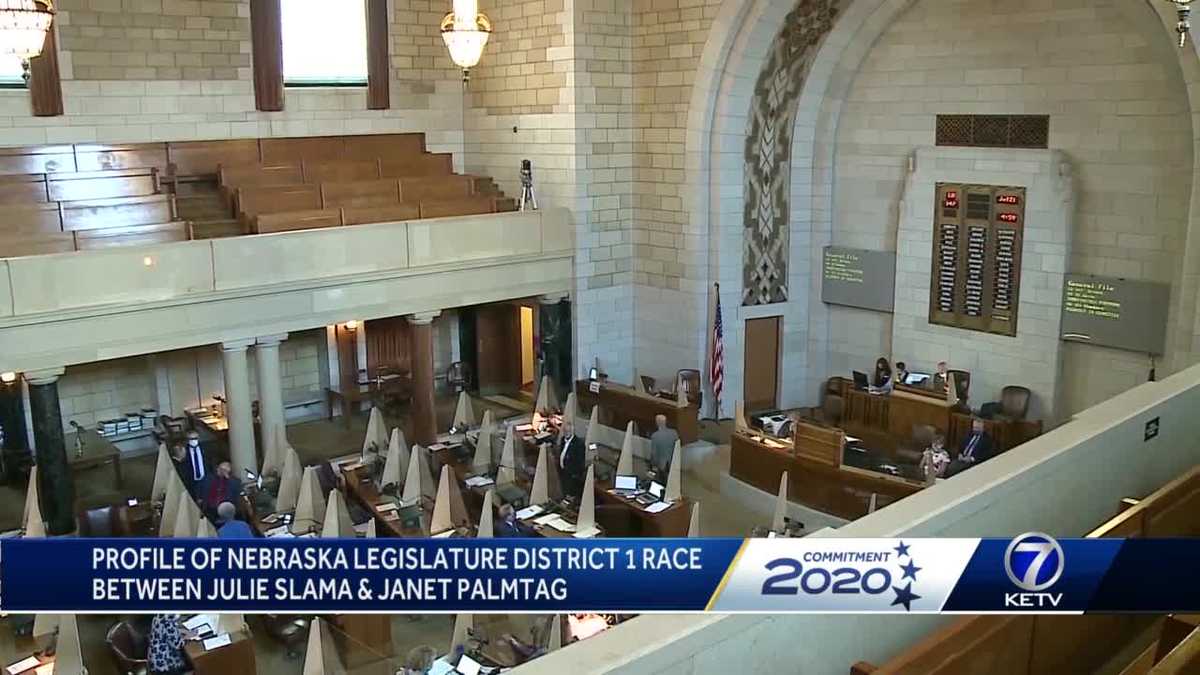 Race for Nebraska Legislature District 1 seat heats up between Julie ...