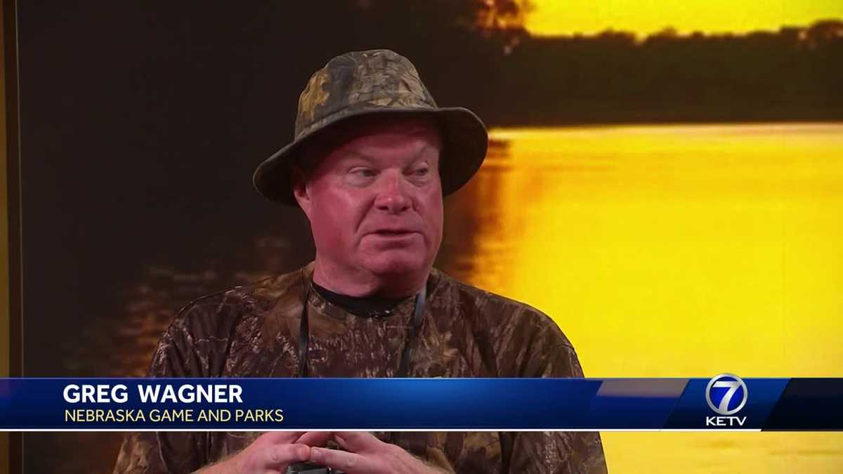 Great Outdoors: Hunting preparation tips for 2024 season