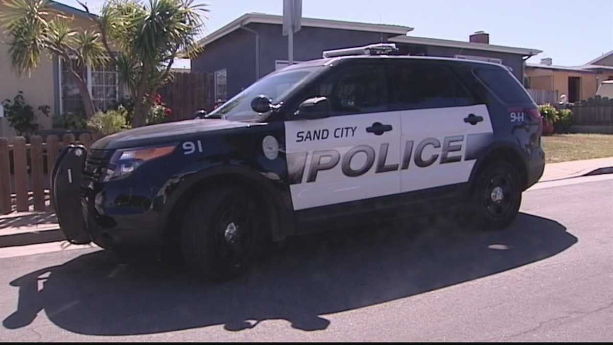 Half a dozen arrested in Seaside gang raid