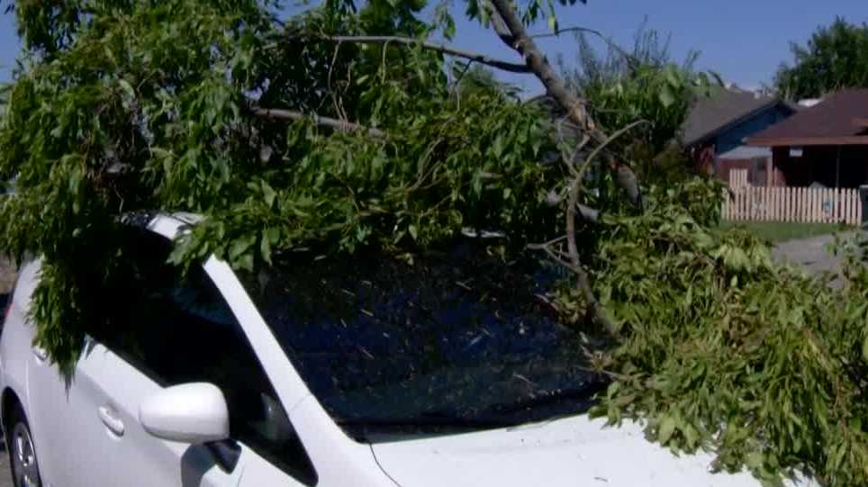Powerful winds topple trees, cut power in Sacramento County