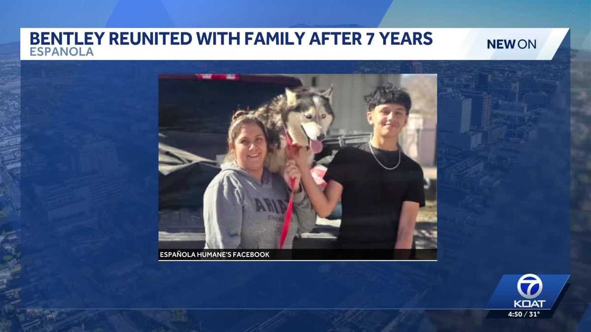 Dog reunited with family after missing for seven years