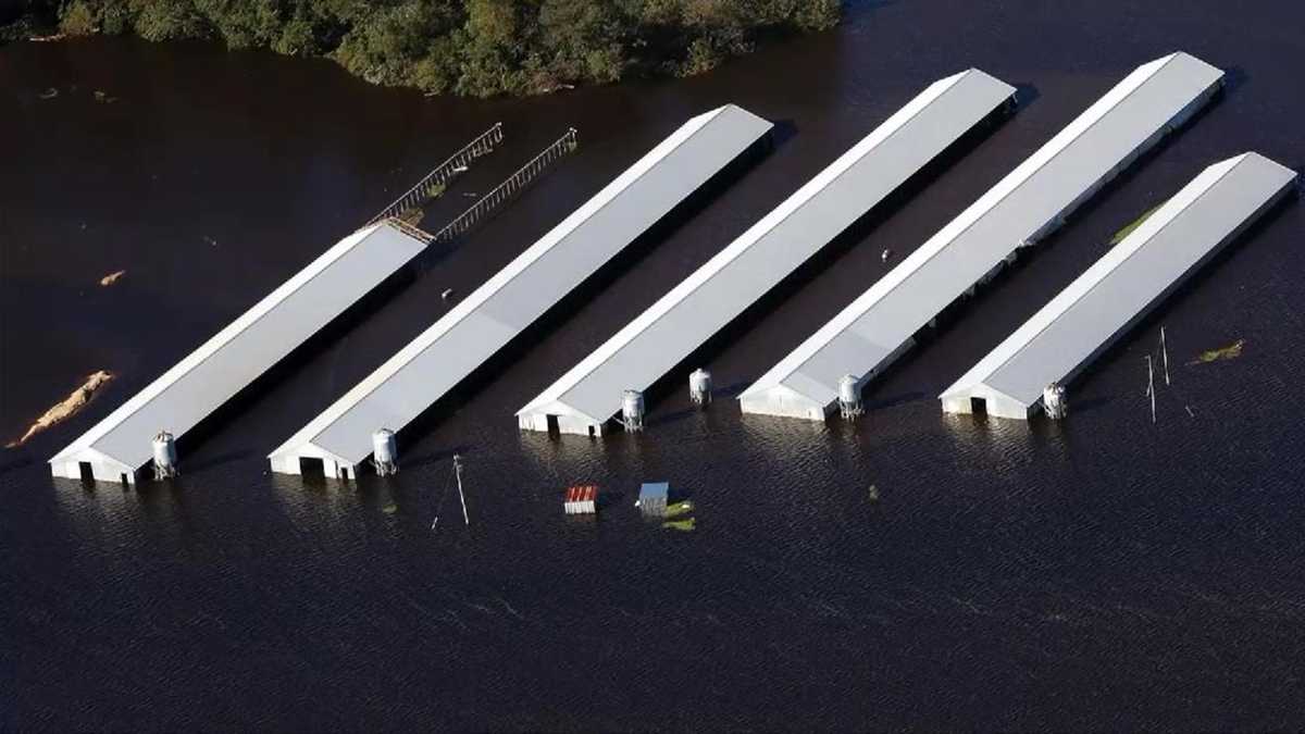 Environmental Fears About Flooded Farms