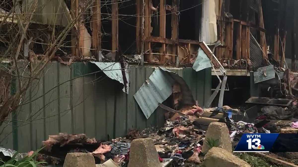 Birmingham Humane Society employee loses 17 animals in house fire